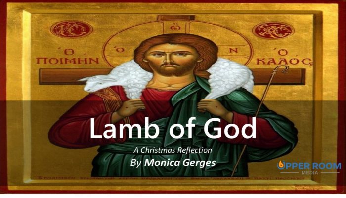 Lamb of God | St Mark Coptic Christian Orthodox Church