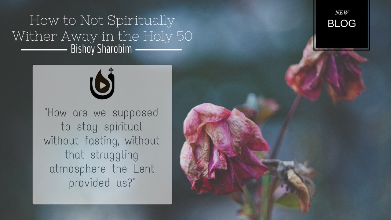 How to Not Spiritually Wither Away in the Holy 50 | St Mark Coptic ...