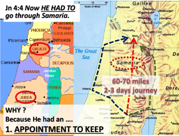Picture1 | St Mark Coptic Christian Orthodox Church